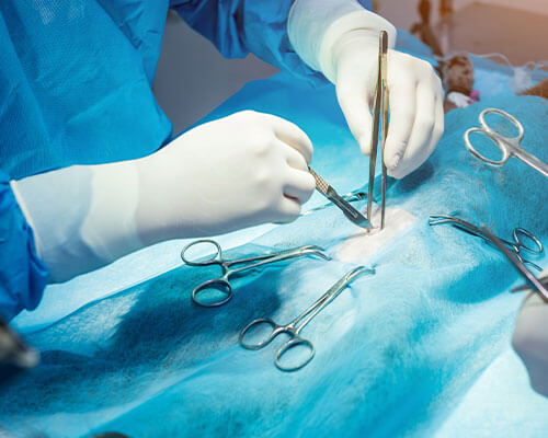 Pet Surgery in Greenfield, WI | Frontier Veterinary Urgent Care